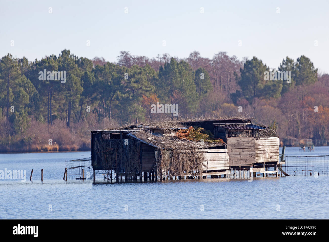 By a foggy morning of Autumn, a duck hunting hut on the White Pond, at ...