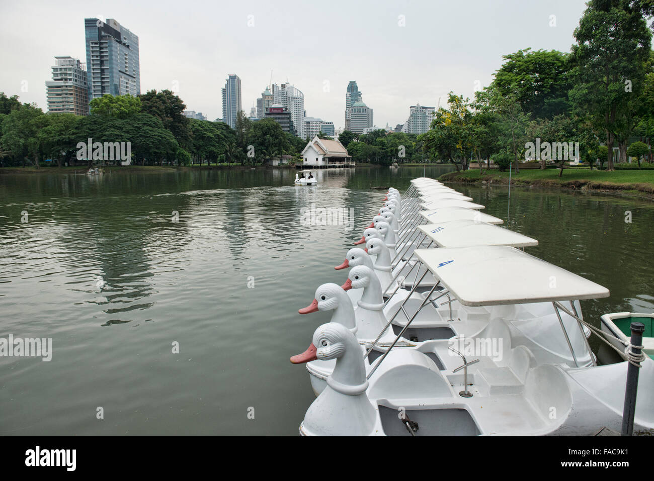 Lumpini park in hi-res stock photography and images - Alamy