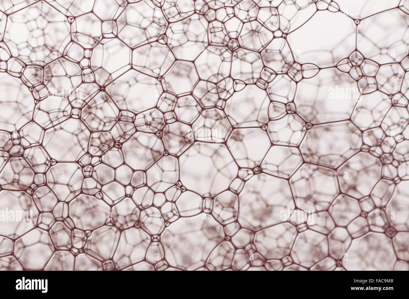 Nice fine pattern with small cells and fine lines Stock Photo - Alamy