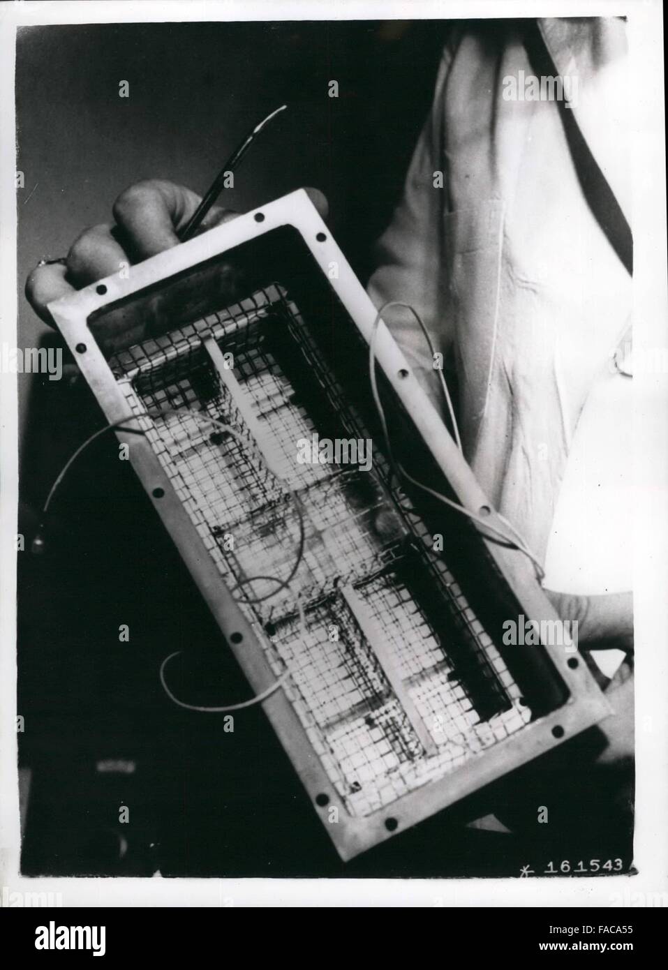 1972 - Life support capsule for carrying mice into the Orbit: The life ...