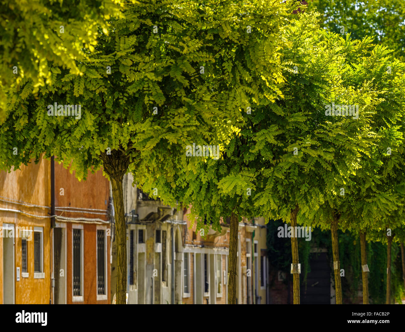 Boulevard in Venice, Italy Stock Photo - Alamy