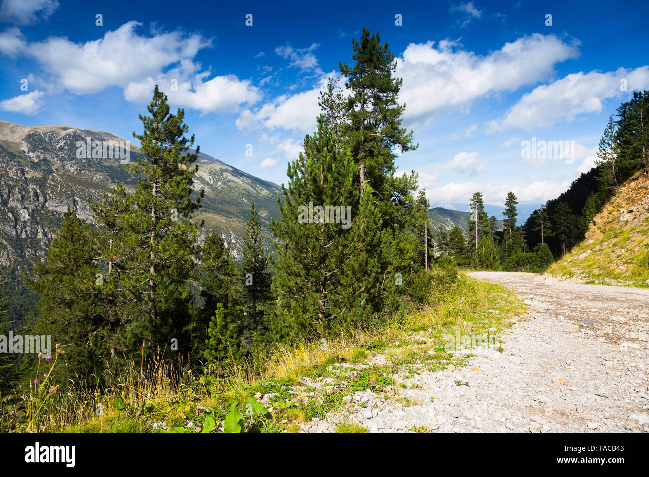 road through forest mountains. Pyrenees Stock Photo - Alamy