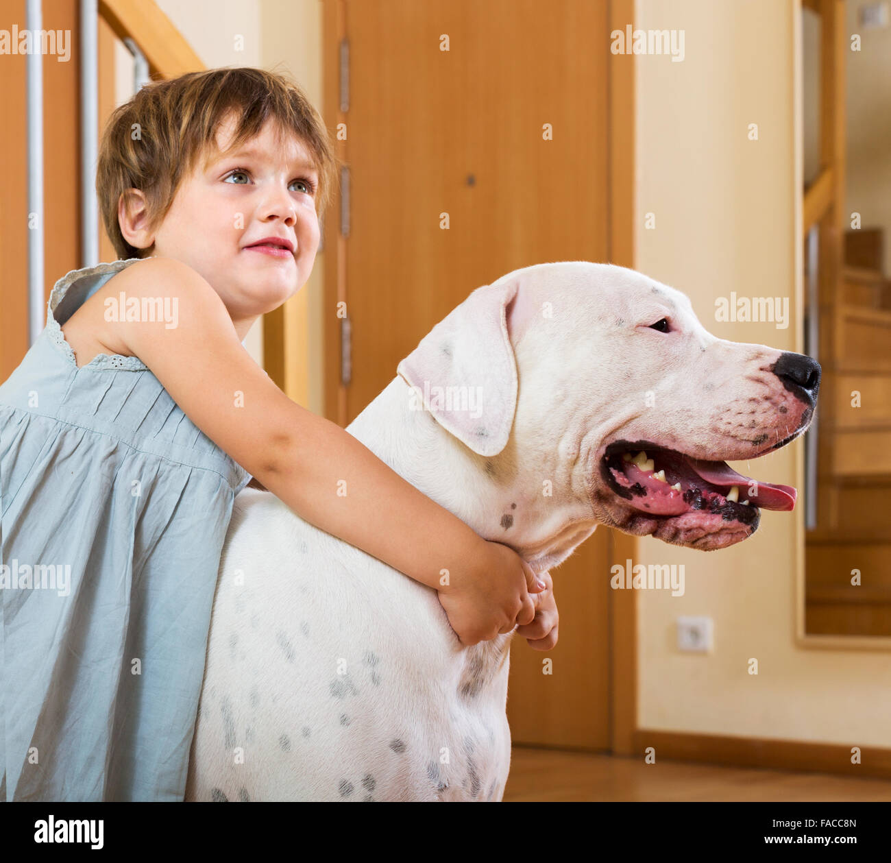 Happy smiling cute little girl hugging big white dog at home Stock ...