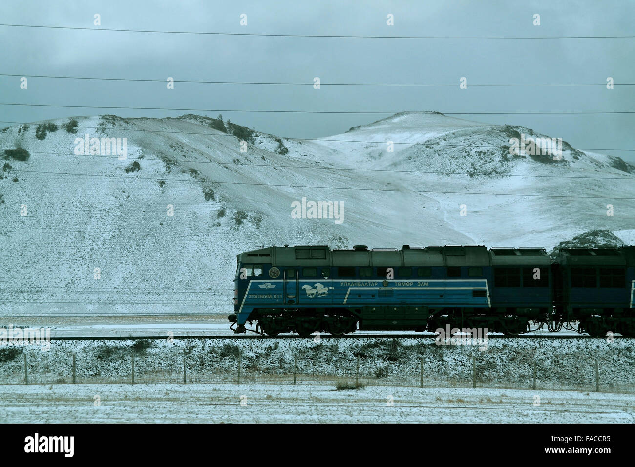 Trans mongolian hi-res stock photography and images - Alamy