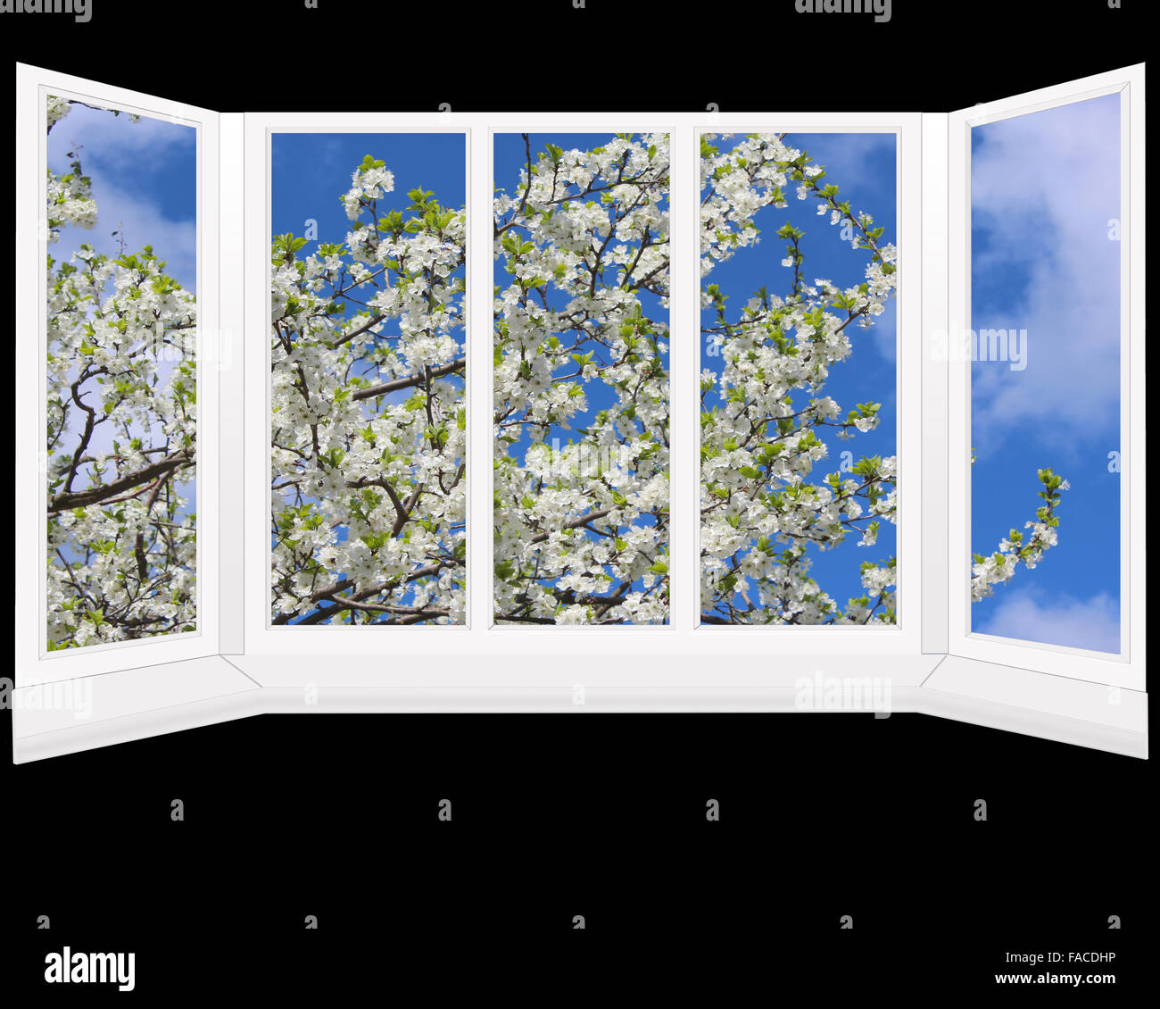 window overlooking the garden with blossoming plum-tree isolated on ...