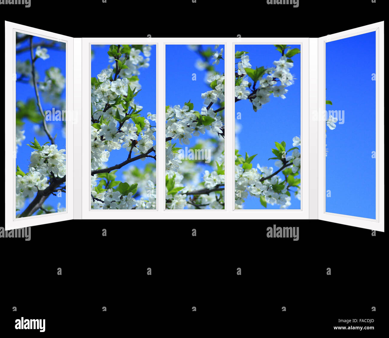 window overlooking the garden with blossoming plum-tree isolated on ...