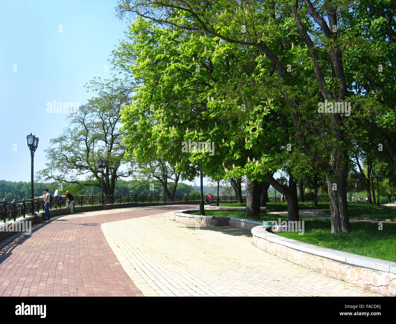 Beautiful city park with path and green trees Stock Photo - Alamy