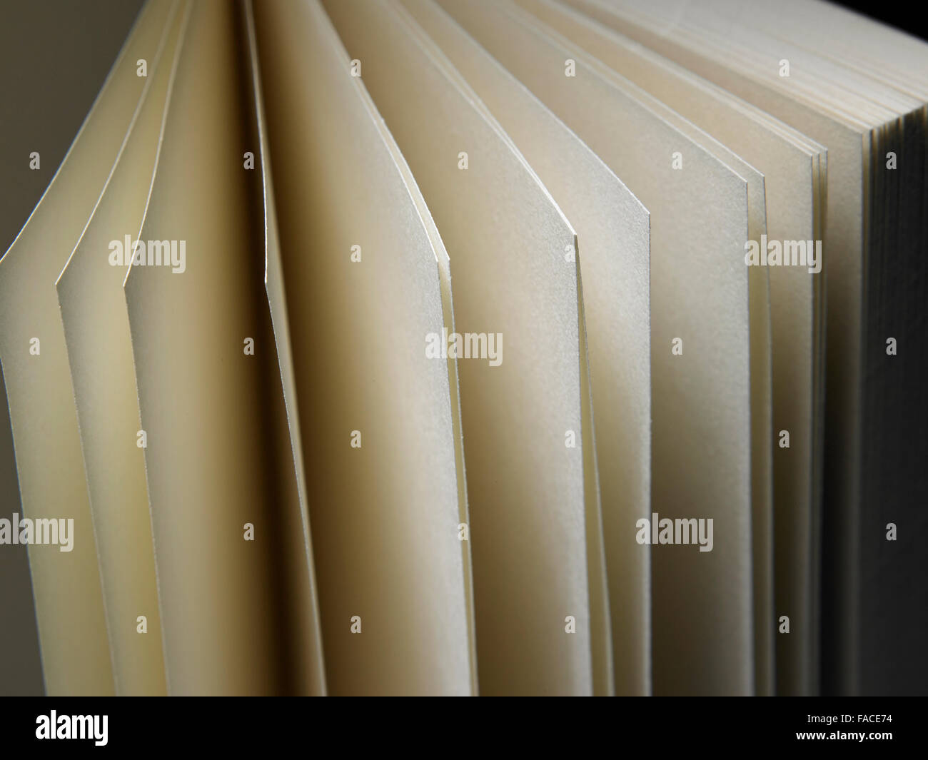 open book with gray background Stock Photo - Alamy