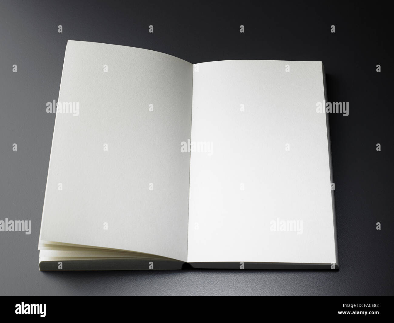 open page of book with blank page Stock Photo - Alamy