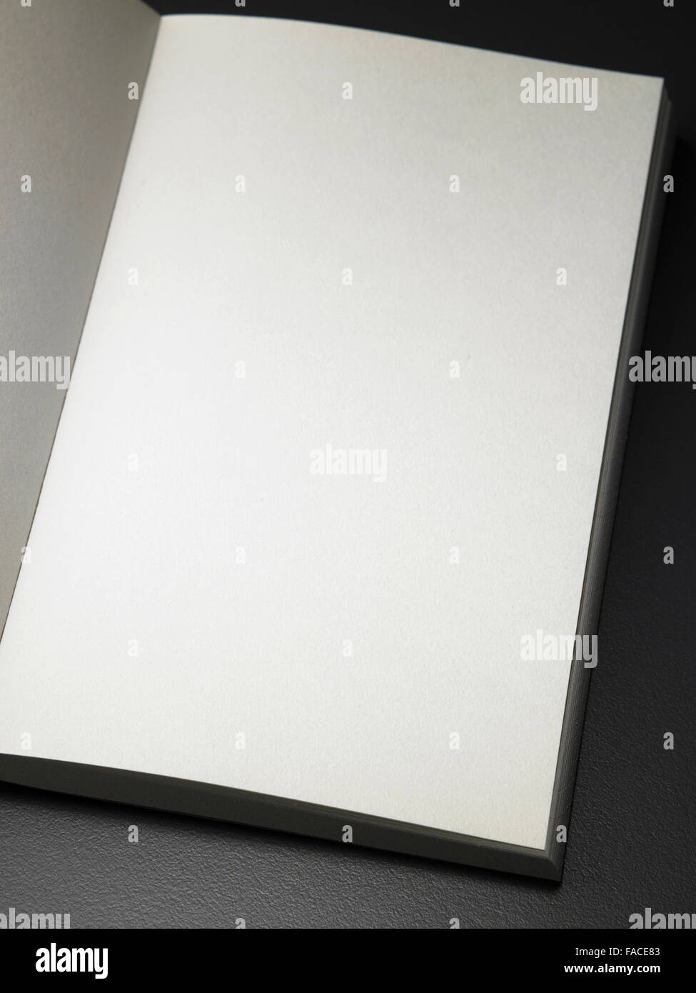 open page of book with blank page Stock Photo - Alamy