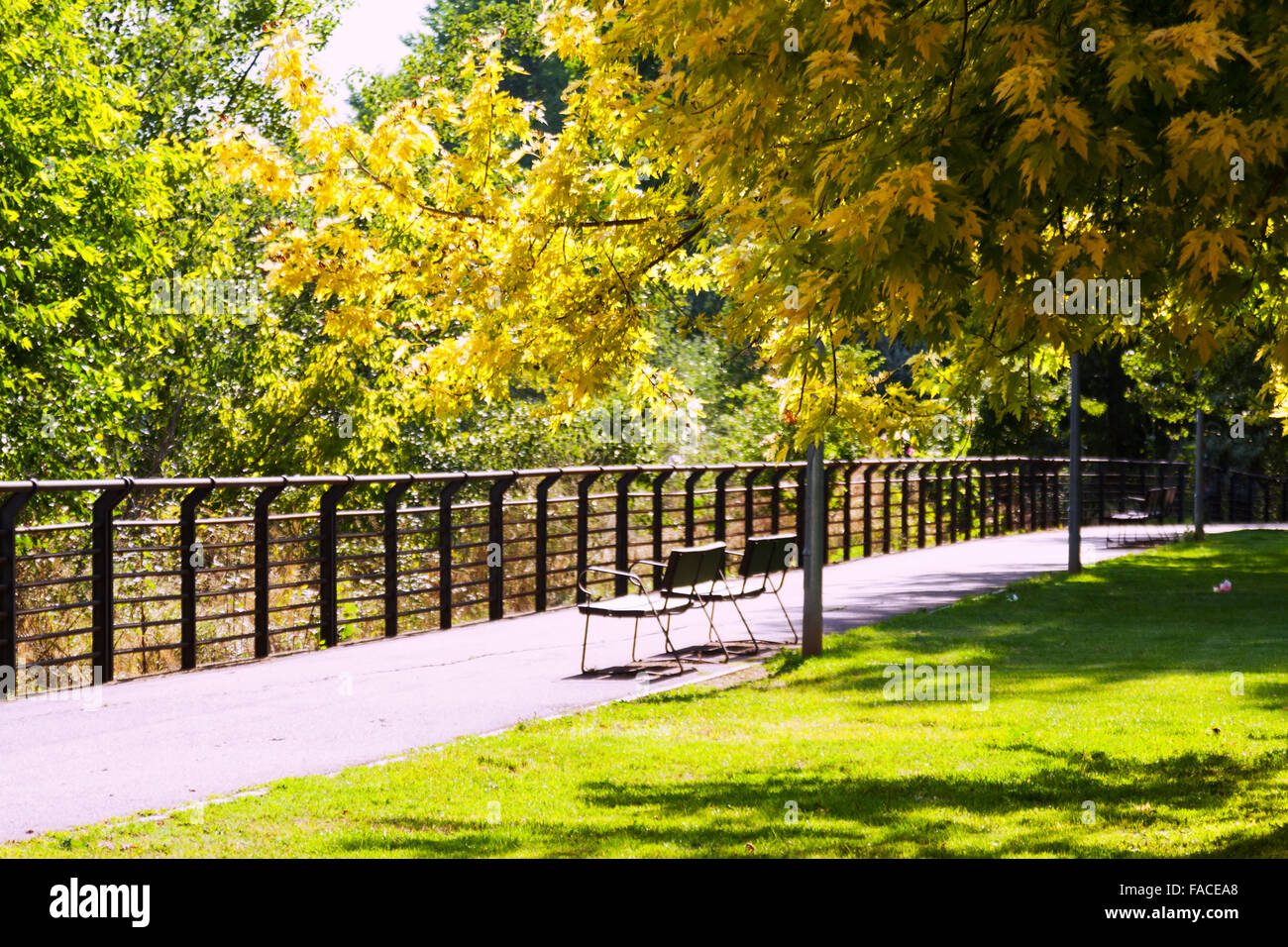 Sunny summer park with bench Stock Photo - Alamy