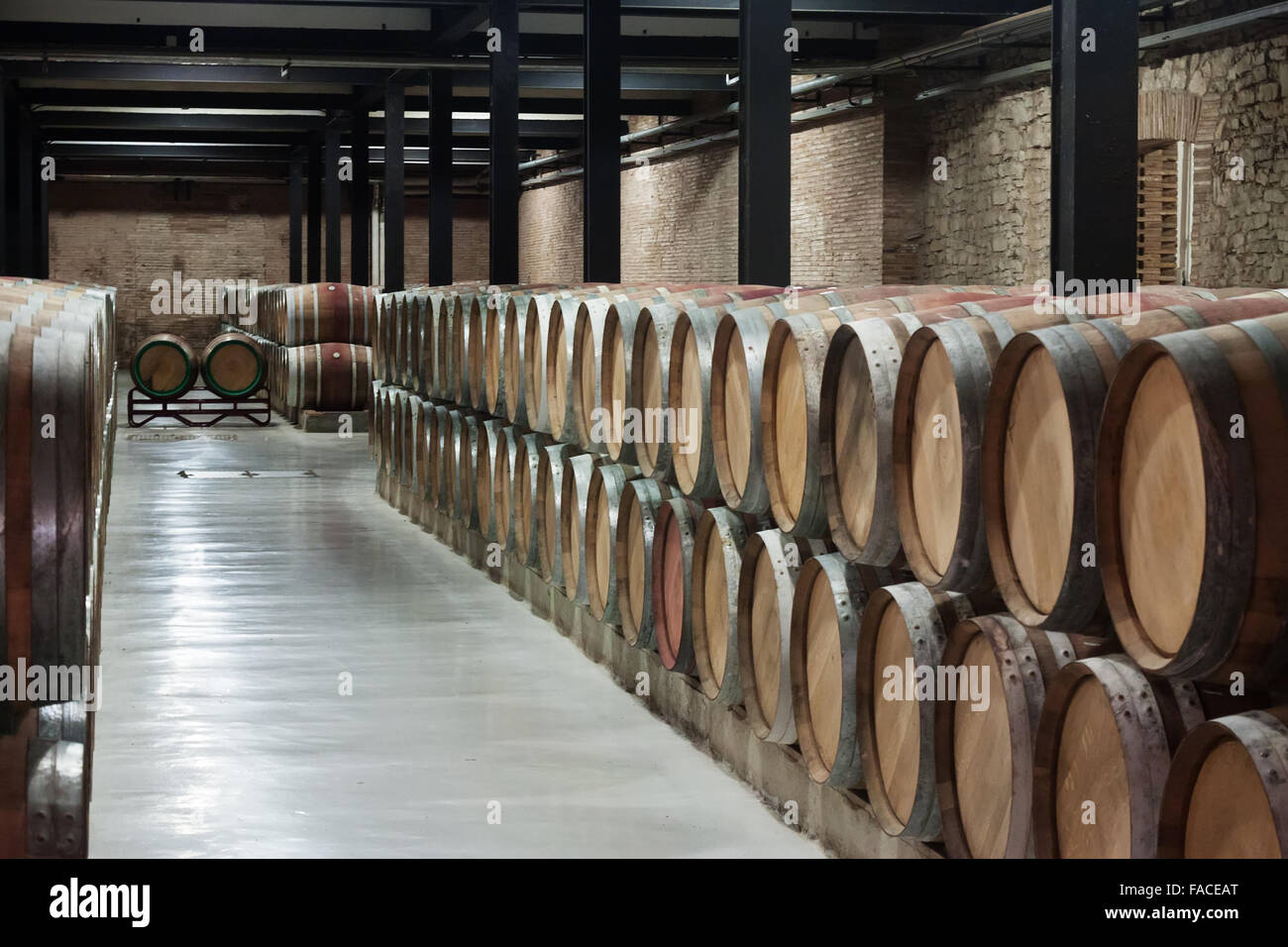 Interior of winery with many barrels Stock Photo - Alamy