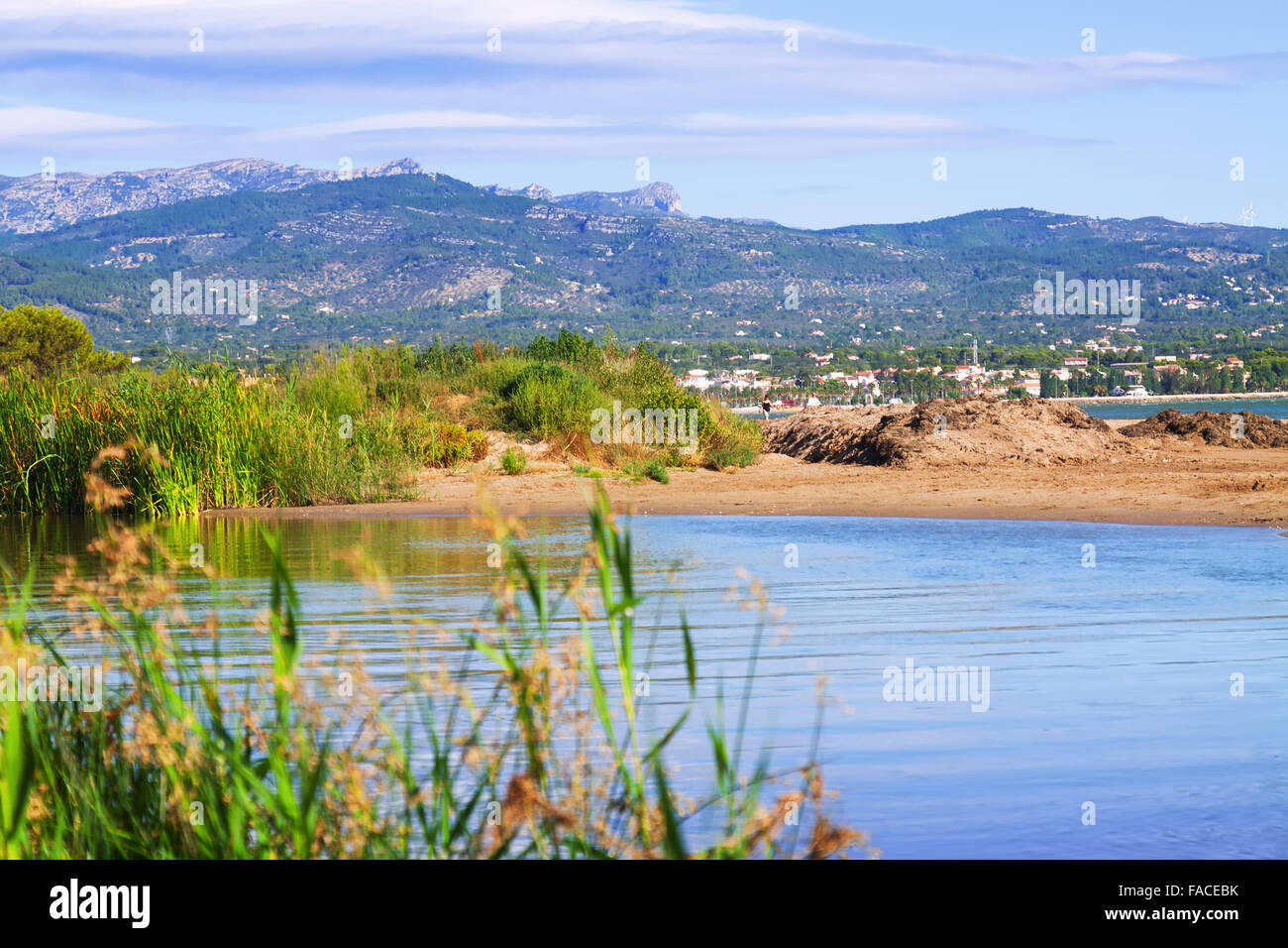 Ebro delta national park hi-res stock photography and images - Alamy