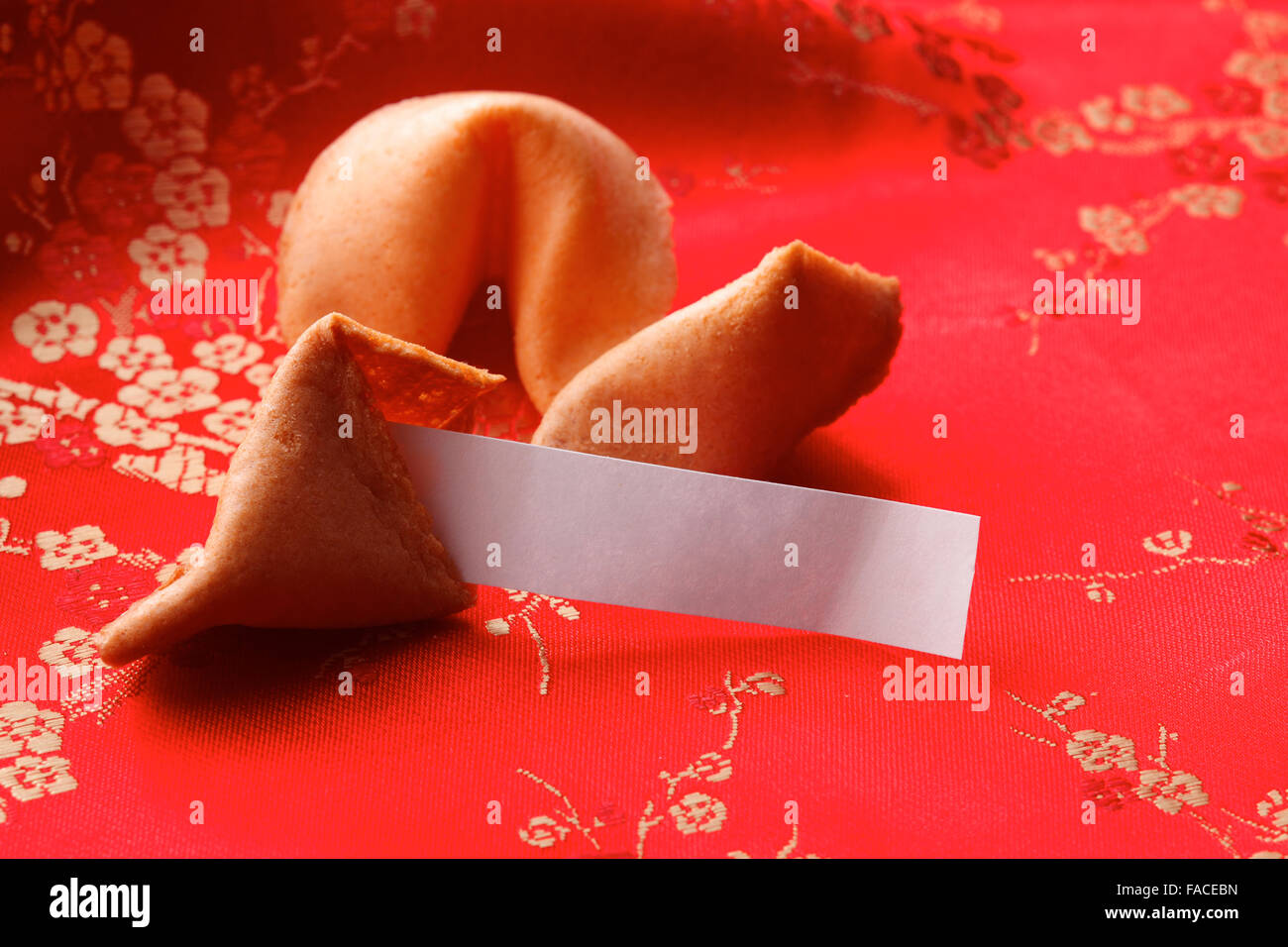 close up of the fortune cookies with blank label Stock Photo - Alamy