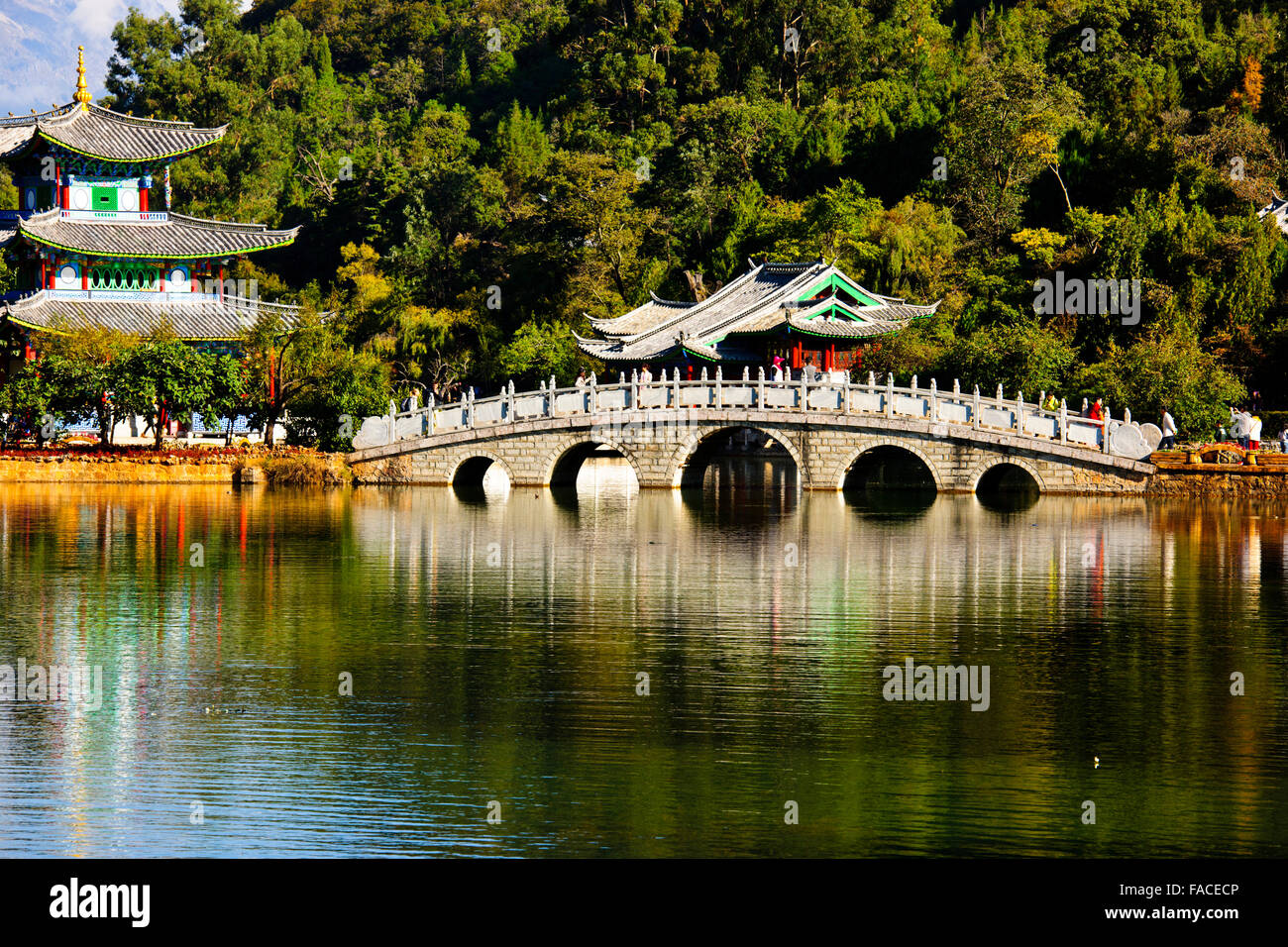 Old Town Lijiang,Jade Dragon Mountain,Black Dragon Pool,Carp,Naxi ...