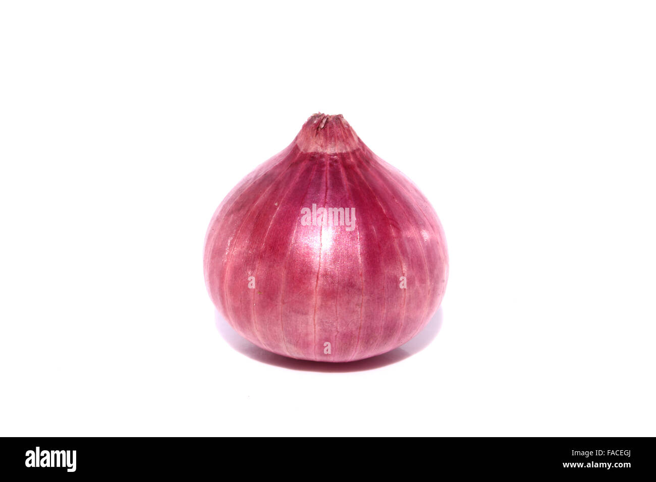 close up shallots on isolated white background Stock Photo - Alamy