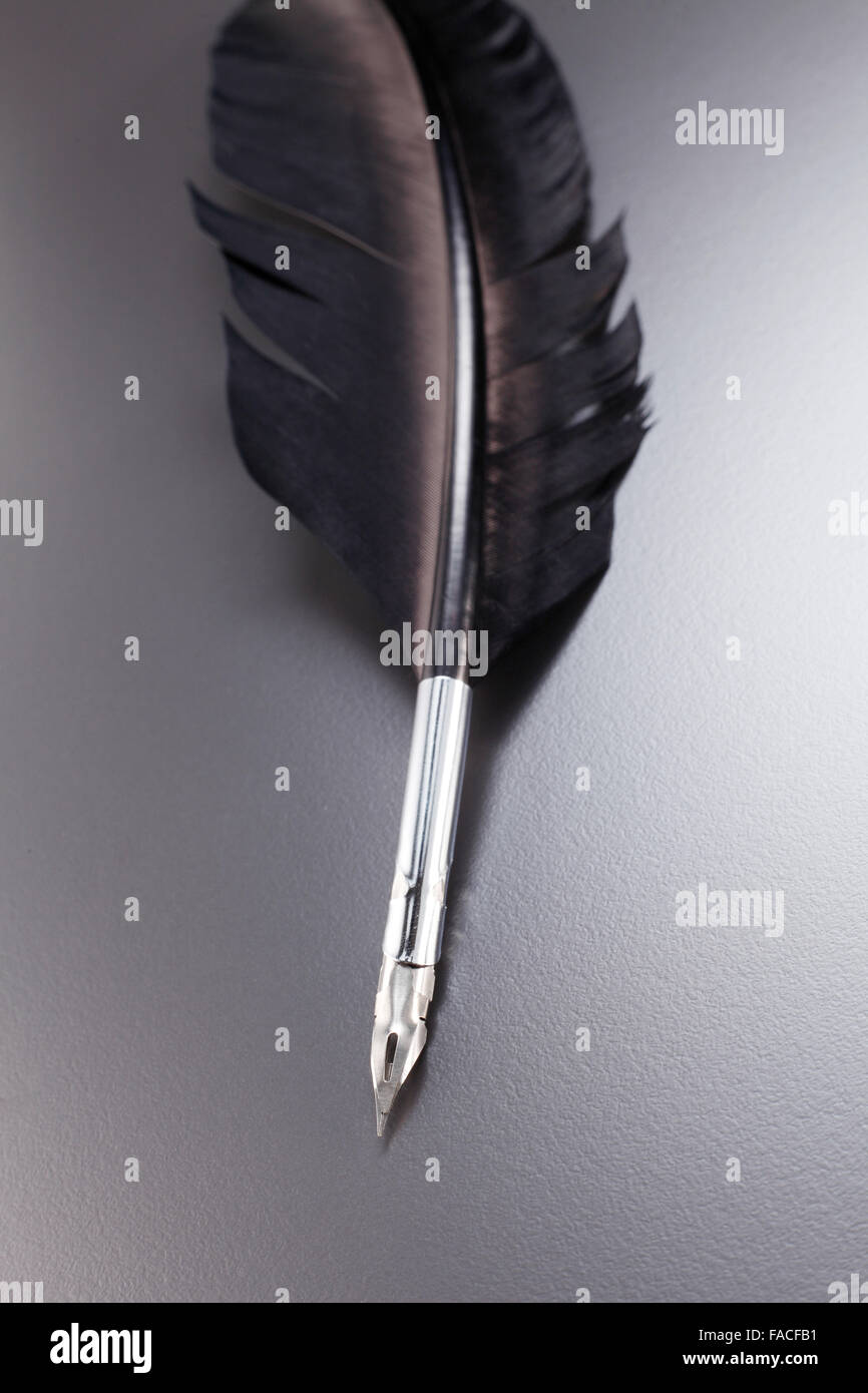 closeup of the quill pen on the gray background Stock Photo - Alamy