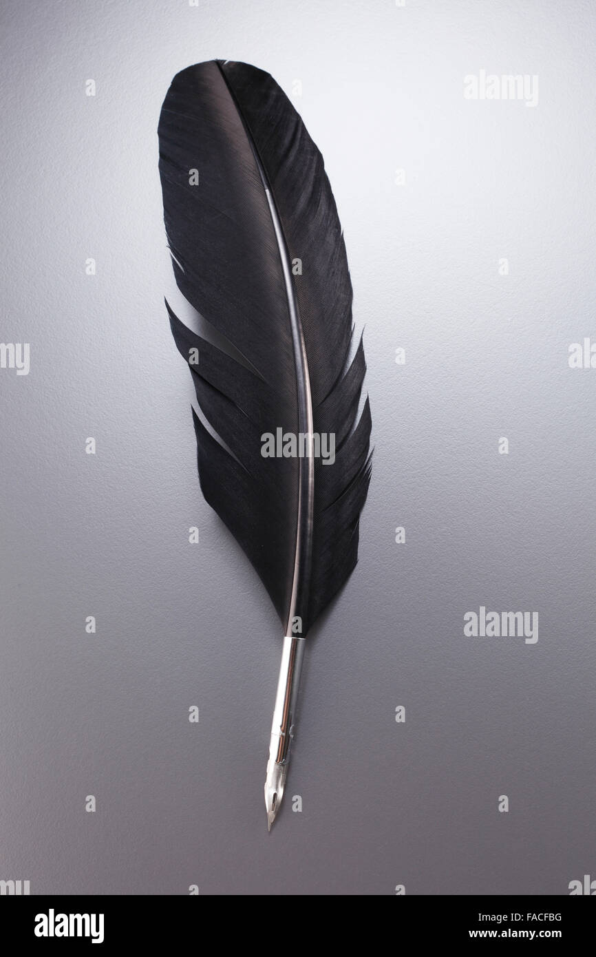 Quill Pens: History Art amp Modern Appeal