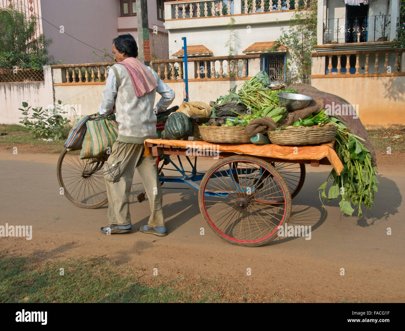 Street vendor selling vegetables on a bicycle cart in a town in West ...