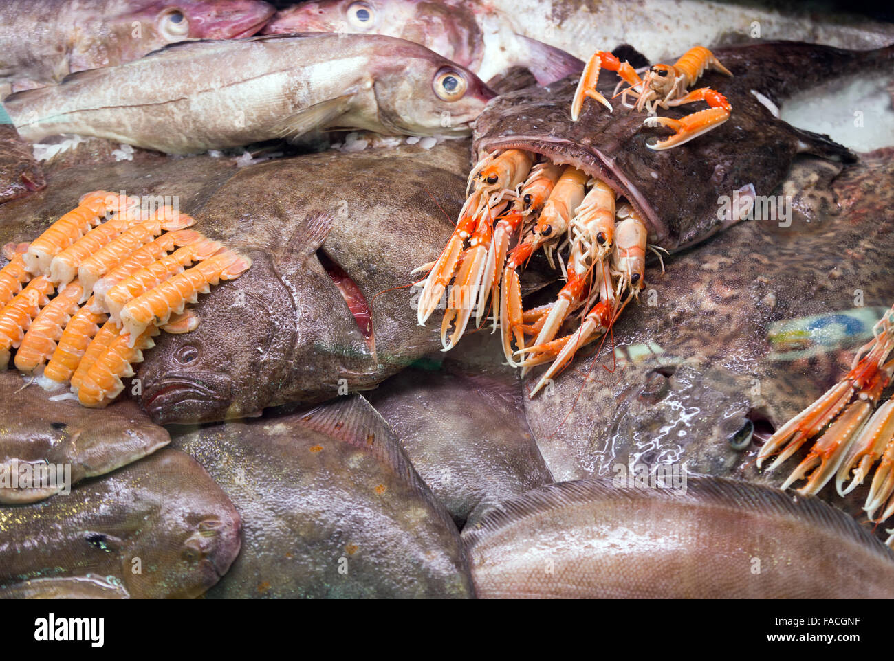 Raw Goosefish and other seafood on spanish market counter Stock Photo ...