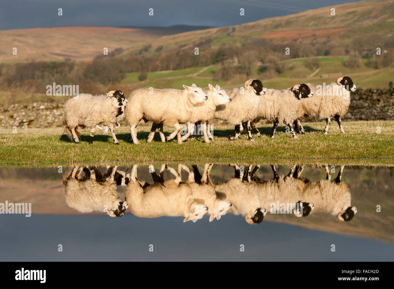 Storm desmond floods yorkshire hi-res stock photography and images - Alamy