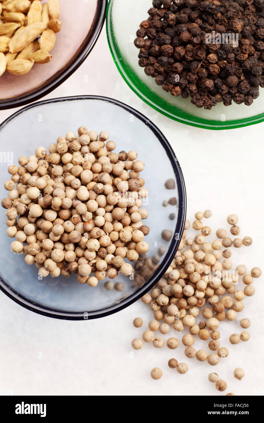 close up of the white peppercorn Stock Photo - Alamy
