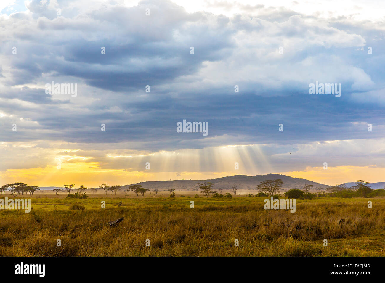 African landscape sunrise hi-res stock photography and images - Alamy
