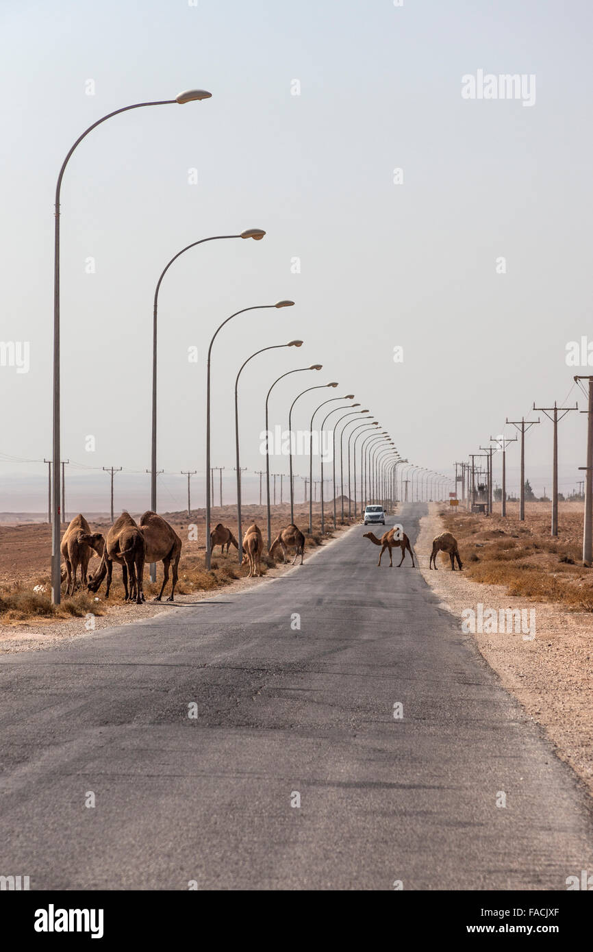 Kings Highway, Jordan Stock Photo - Alamy