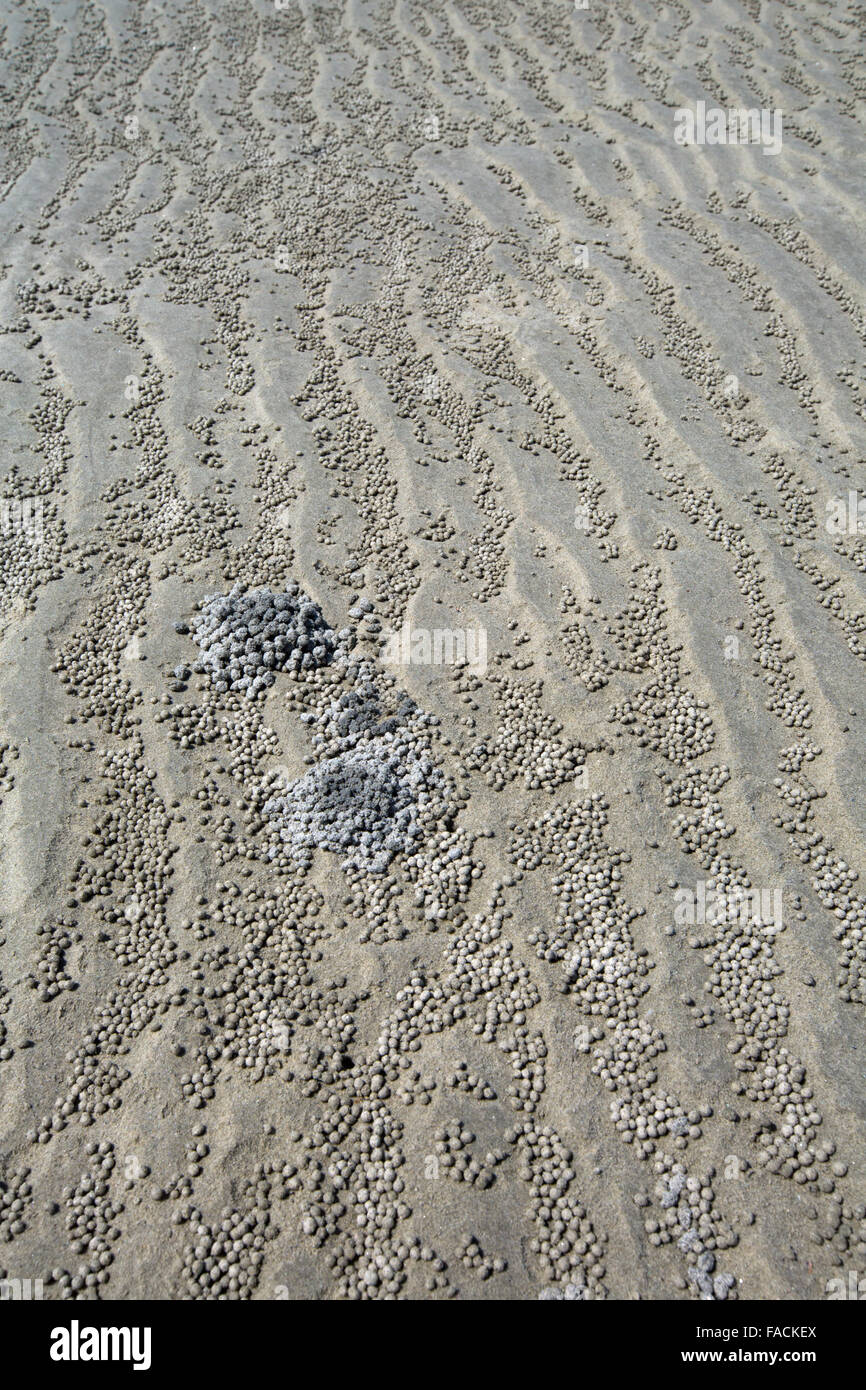 Sand Balls High Resolution Stock Photography and Images - Alamy