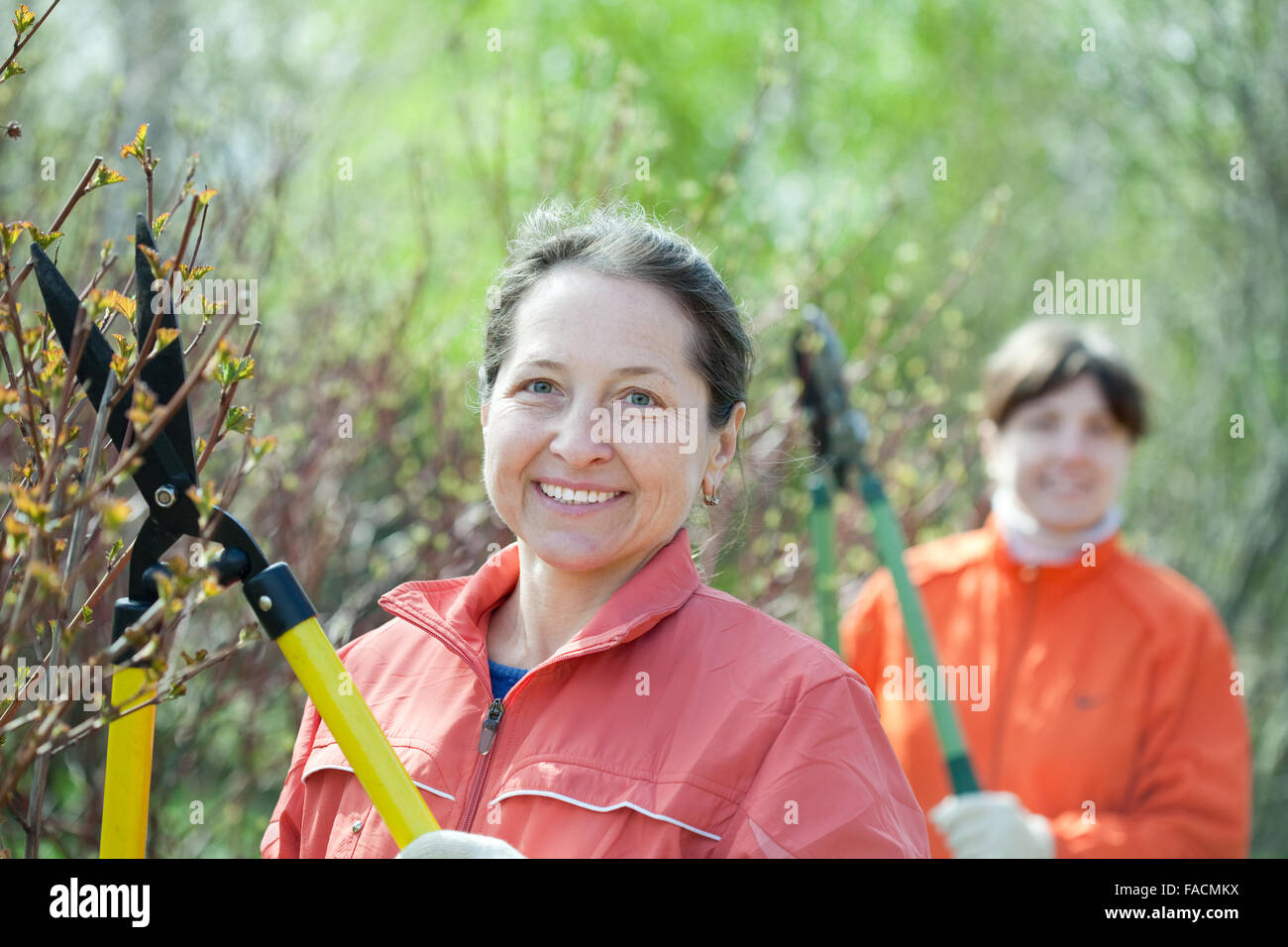 Two female gardeners working in spring garden Stock Photo - Alamy