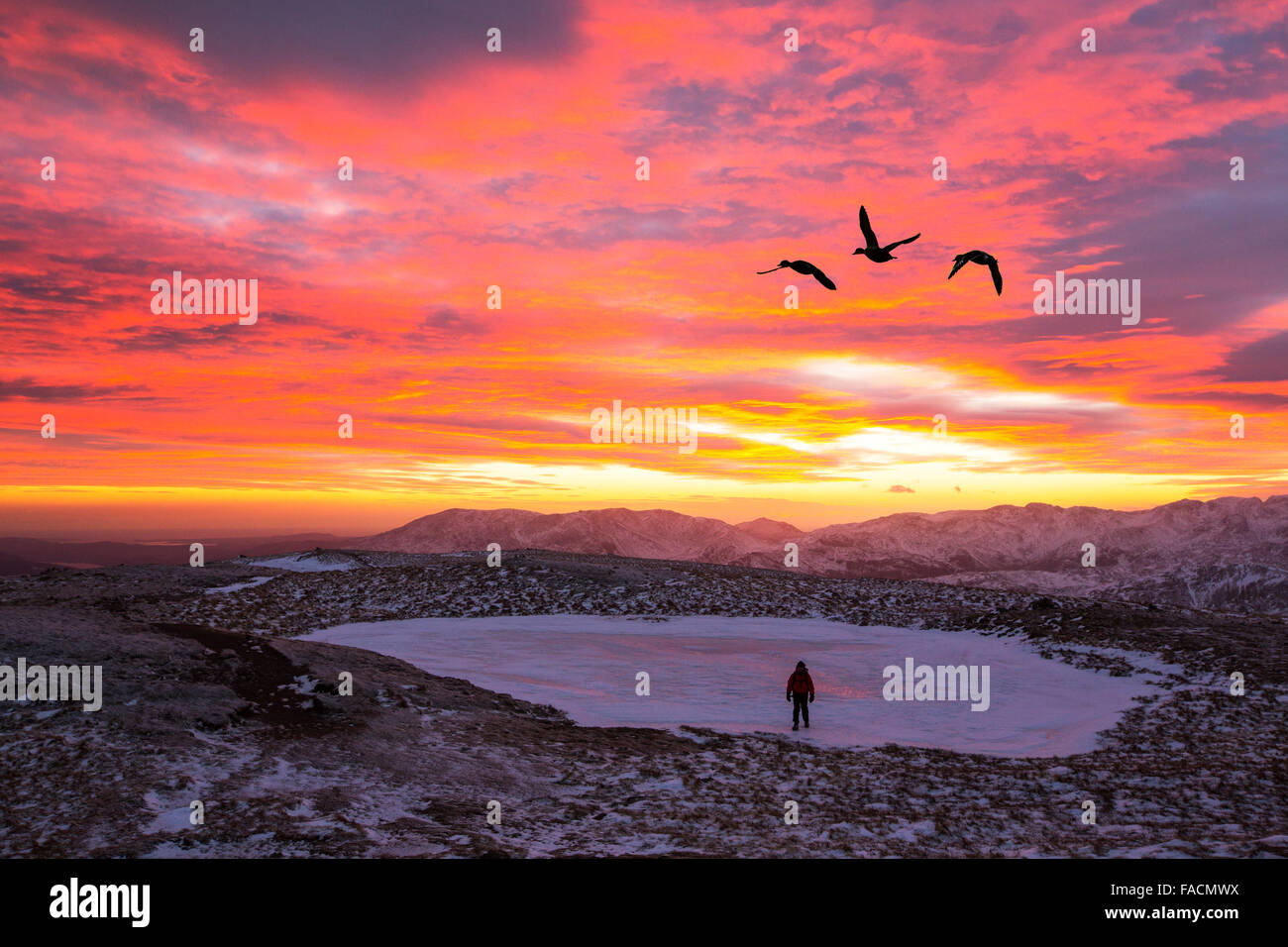 A walker on the summit of Red Screes at sunset in the Lake District, UK ...