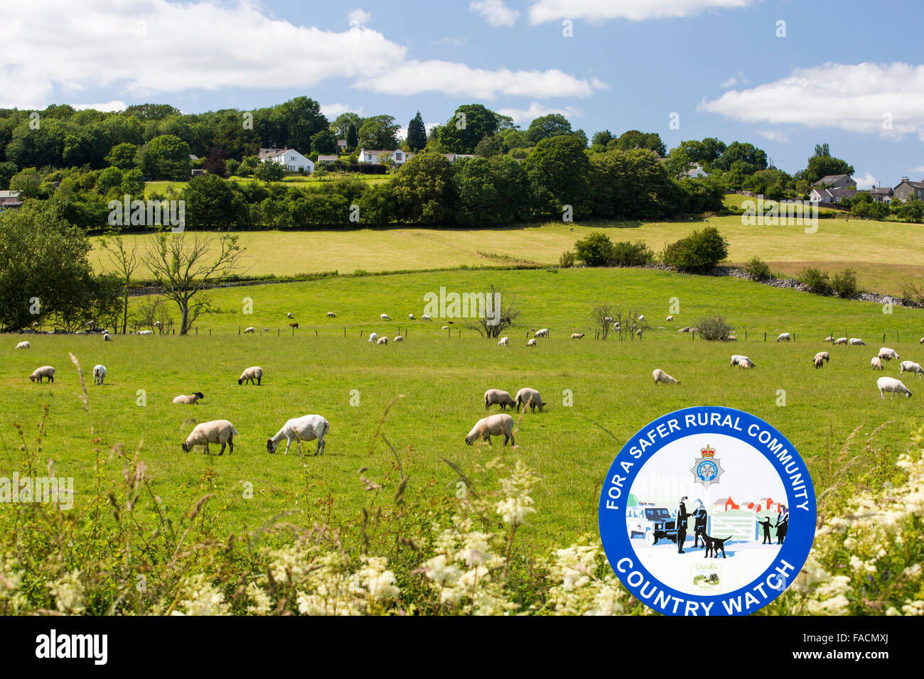 The Lyth Valley in South Cumbria, UK Stock Photo - Alamy