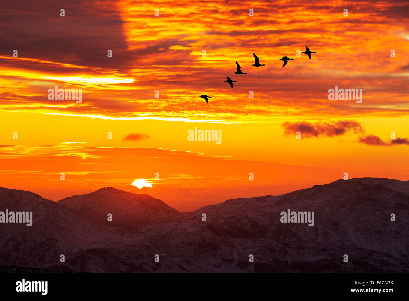 The view south west from the summit of Red Screes at sunset in the Lake ...