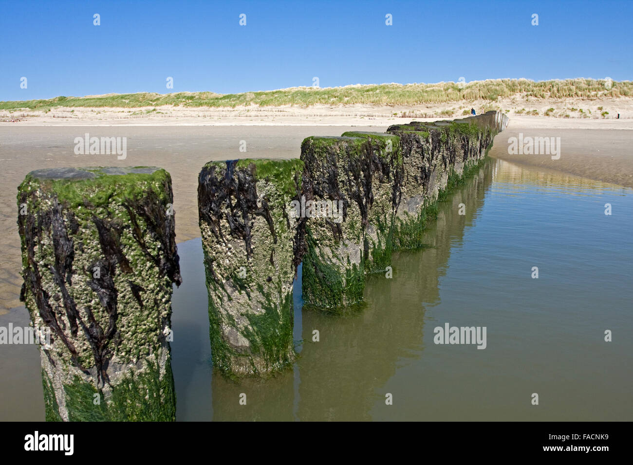 Ameland hi-res stock photography and images - Alamy