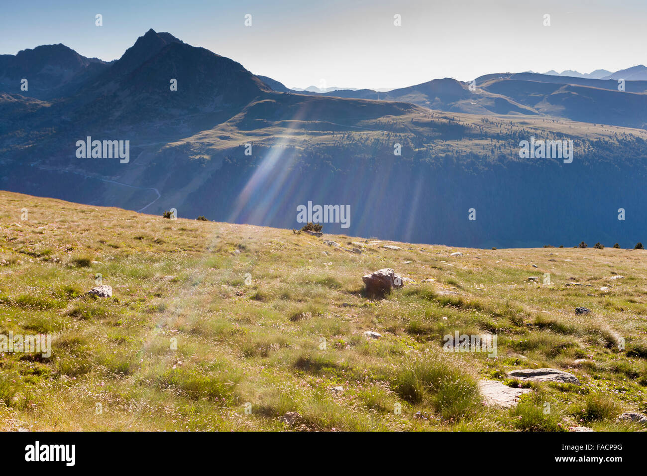 Summer in Pyrenees Stock Photo - Alamy