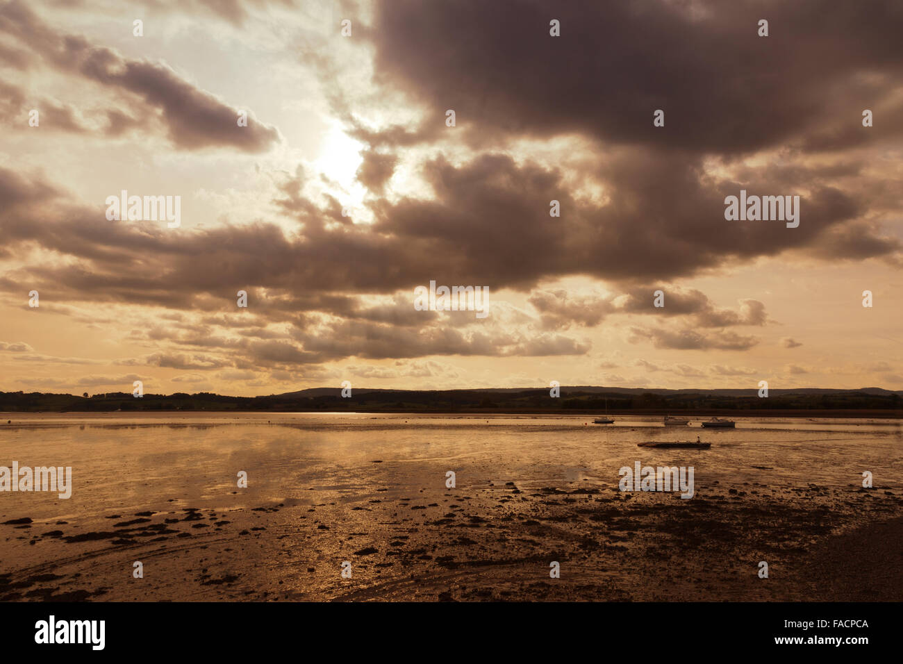 River exe estuary hi-res stock photography and images - Alamy