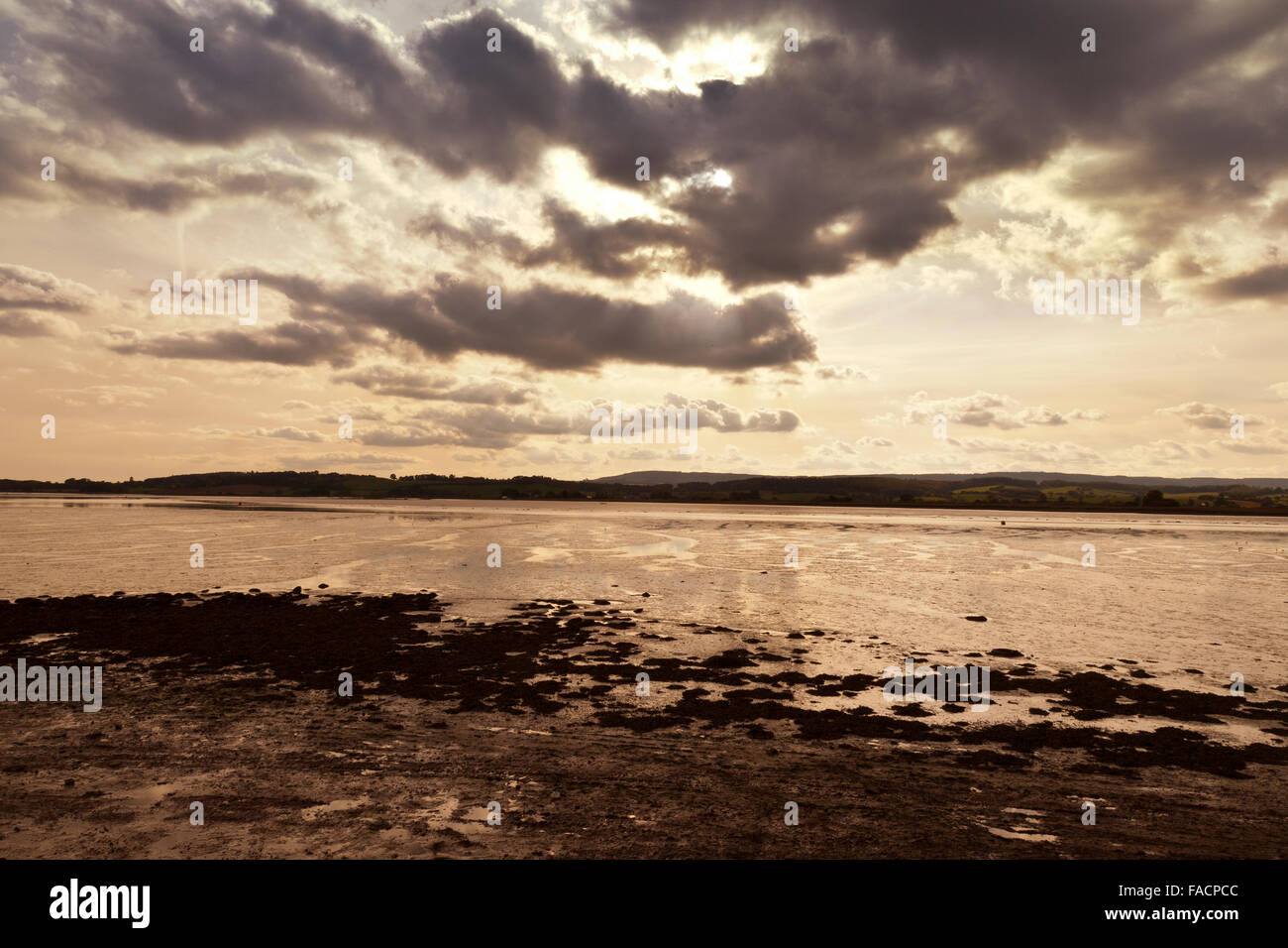 River exe estuary hi-res stock photography and images - Alamy