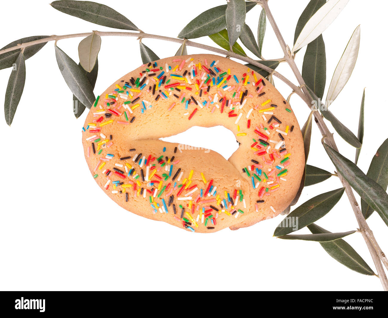 Ciambella, ciambellone. Easter traditional food in Lunigiana, north ...