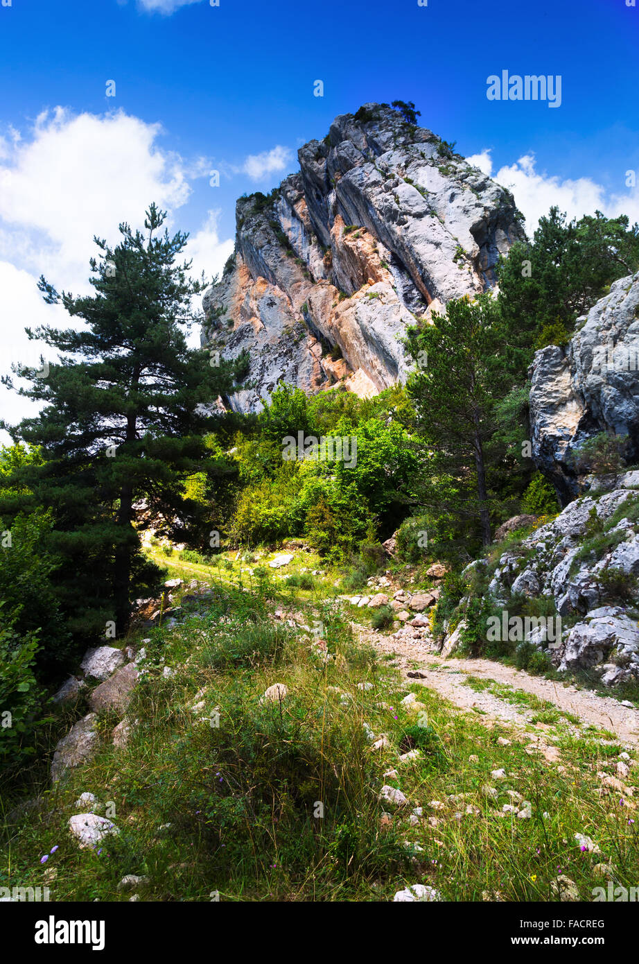 Single rock at mountain in summer day. Pyrenees Stock Photo - Alamy