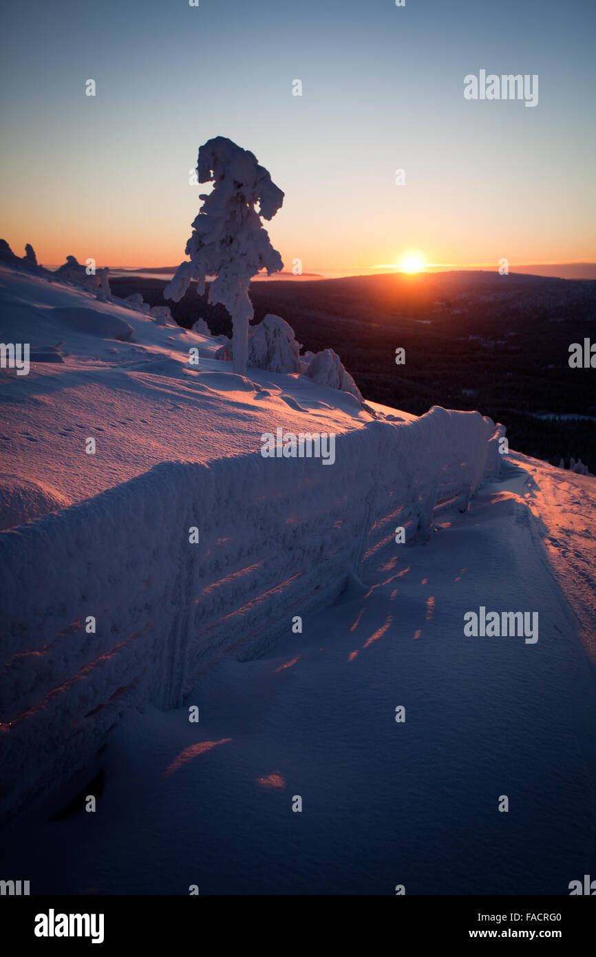 Cold winter in Lapland Finland Stock Photo - Alamy