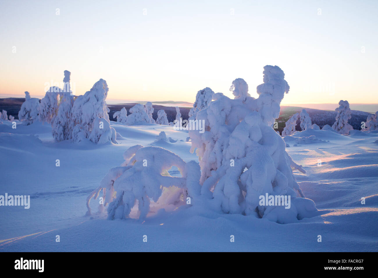 Sallatunturi finland hi-res stock photography and images - Alamy