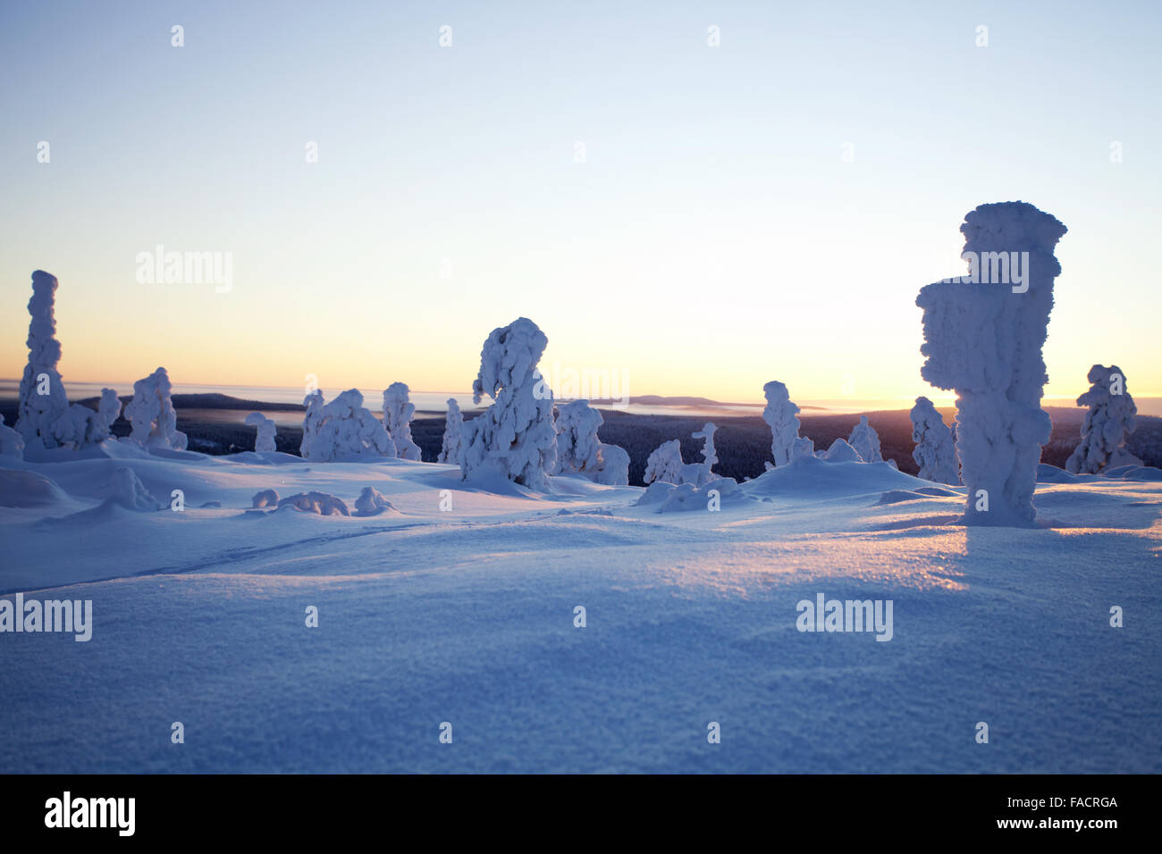 Cold winter in Lapland Finland Stock Photo - Alamy