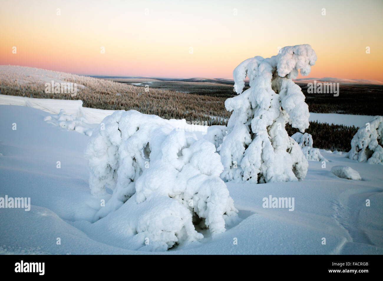 Sallatunturi finland hi-res stock photography and images - Alamy