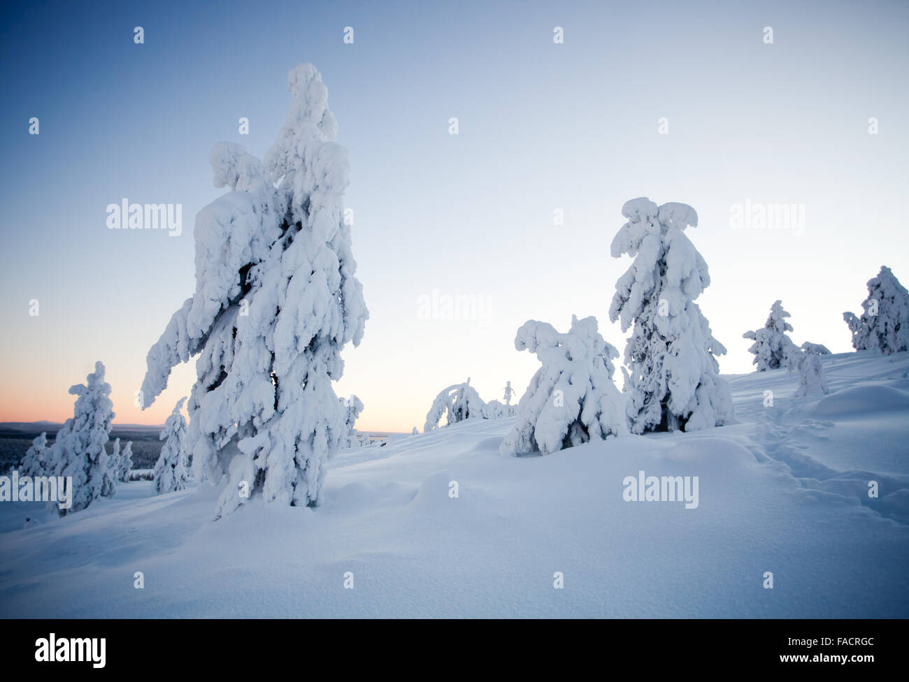 Cold winter in Lapland Finland Stock Photo - Alamy
