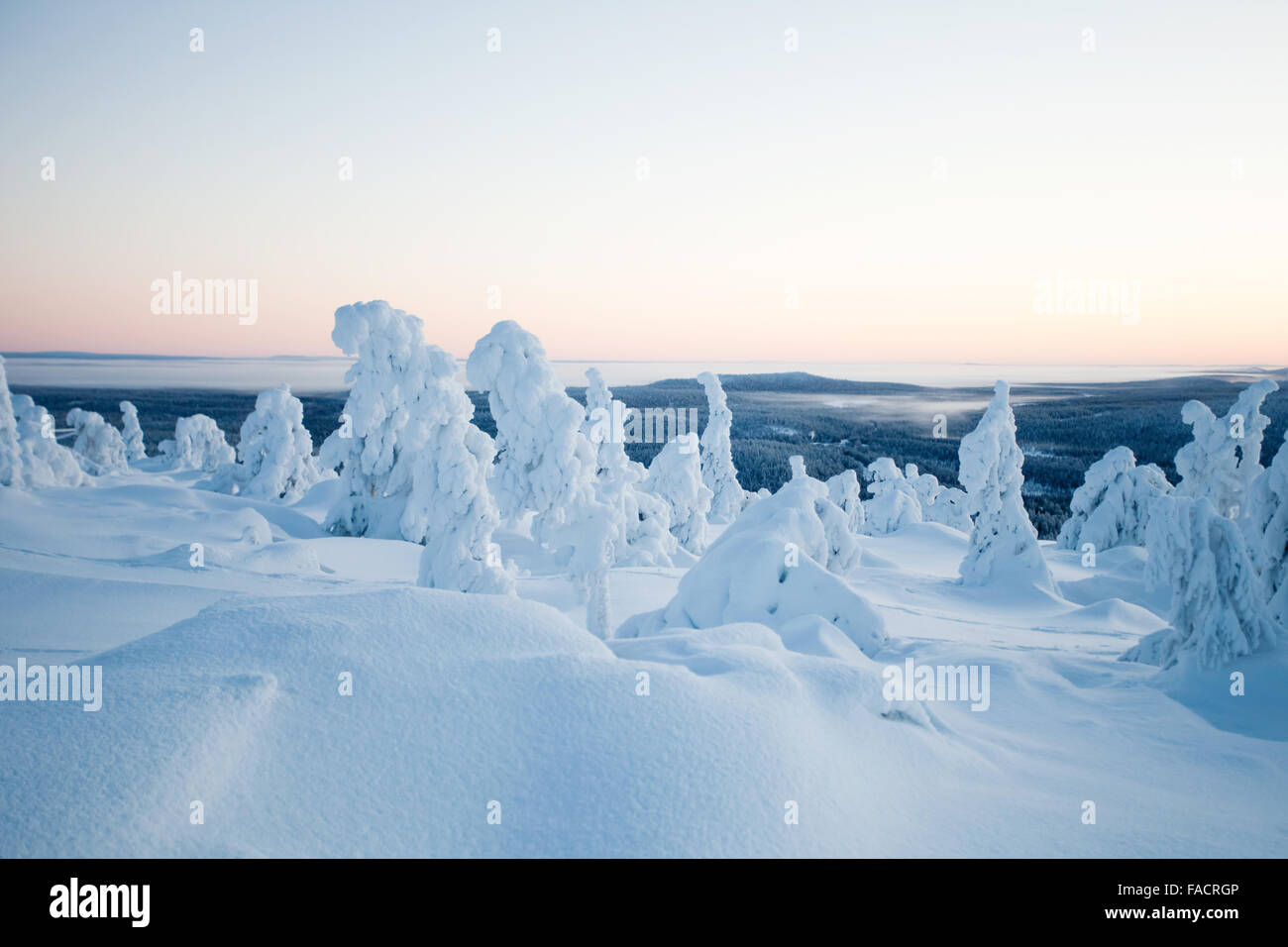 Cold winter in Lapland Finland Stock Photo - Alamy