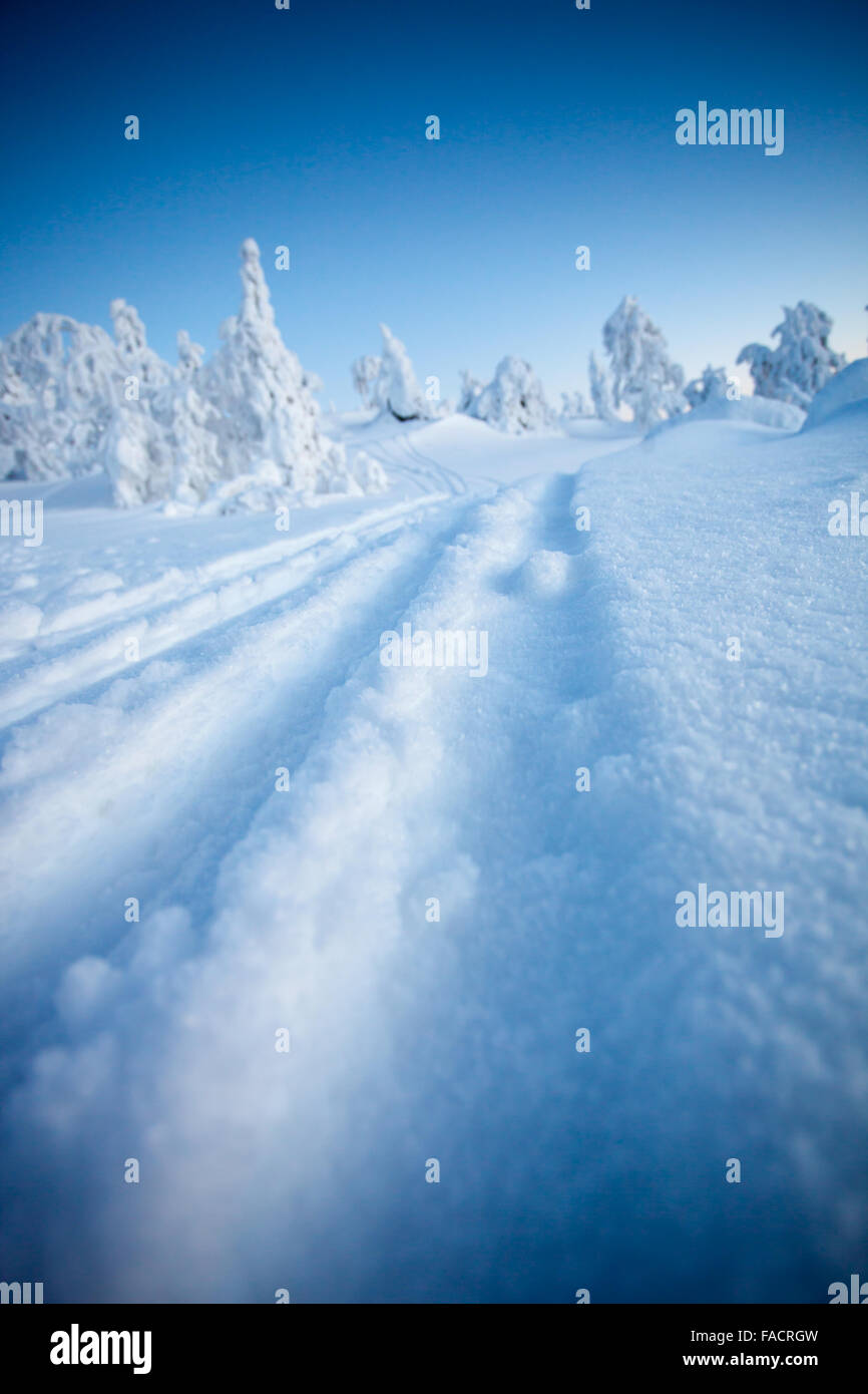 Cold winter in Lapland Finland Stock Photo - Alamy