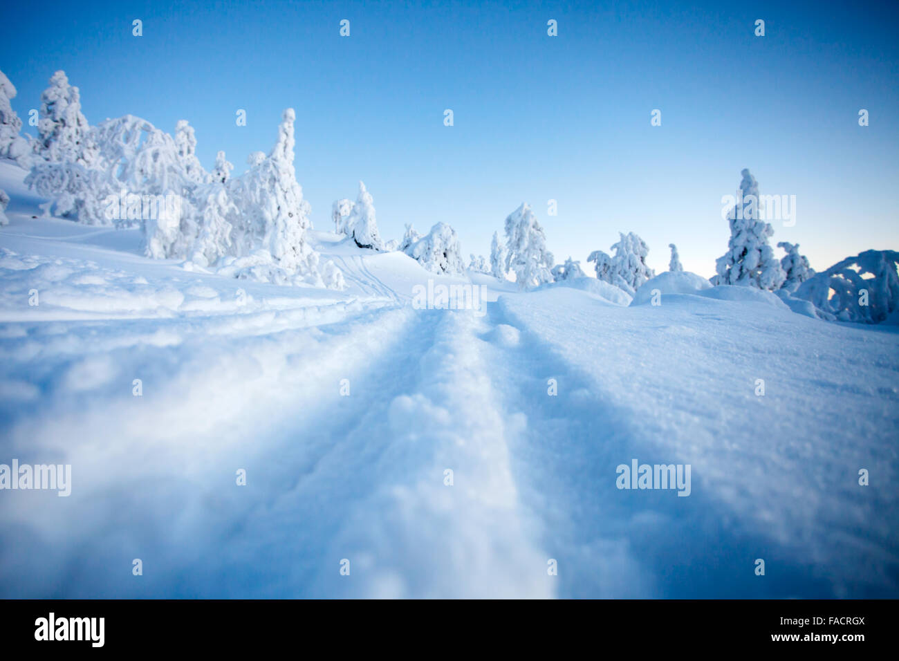 Cold winter in Lapland Finland Stock Photo - Alamy