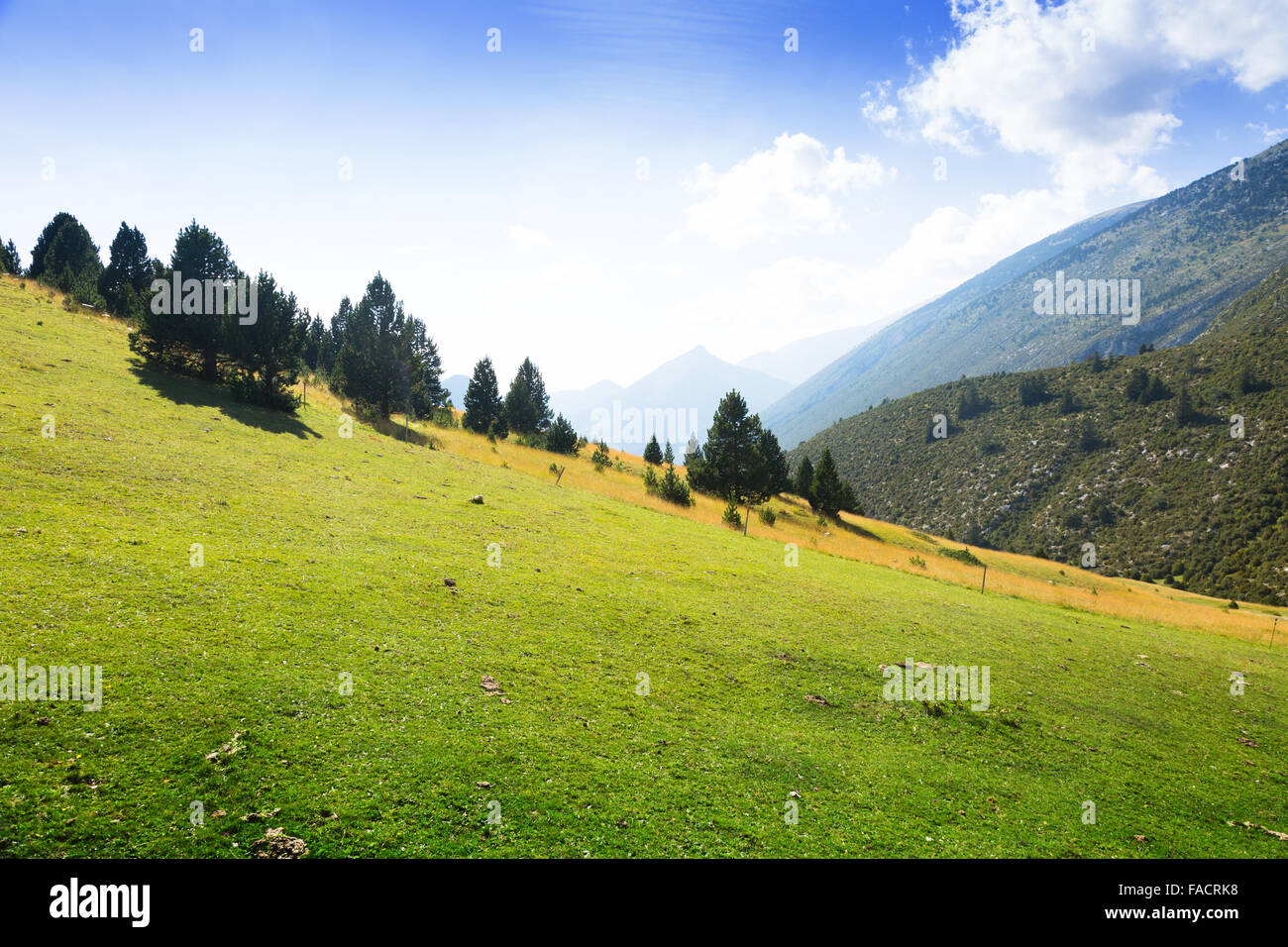 landscape with highland meadow in sunny day Stock Photo - Alamy