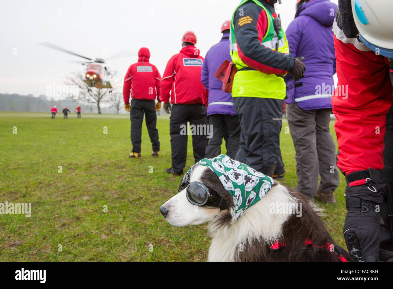 Helicopter rescue dog hi-res stock photography and images - Alamy