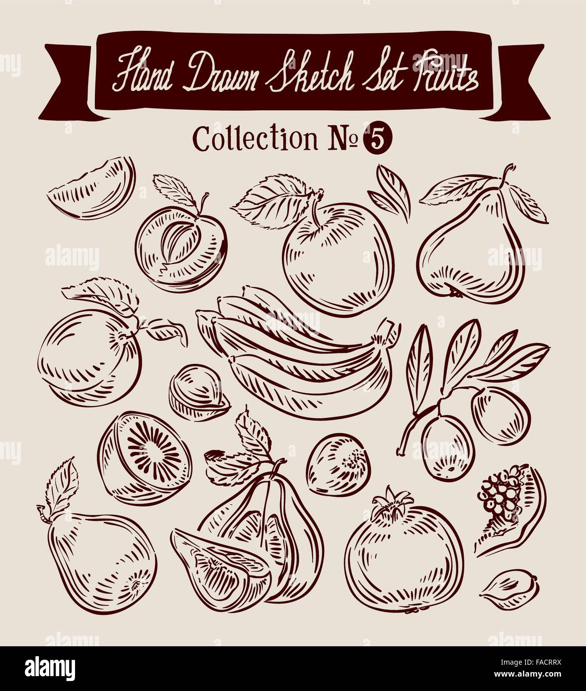 Hand drawn vector sketch collection fruit Stock Vector Image & Art - Alamy